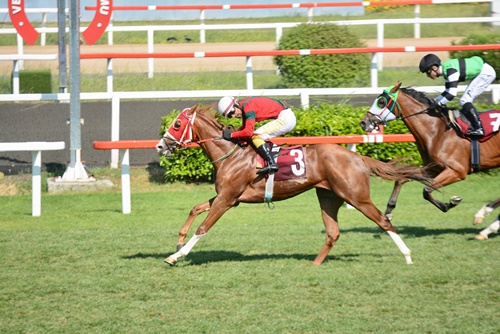 Escape Path’e Gazi Koşusu Öncesi Sürpriz Teklif! - Atçılık Kütüphanesi